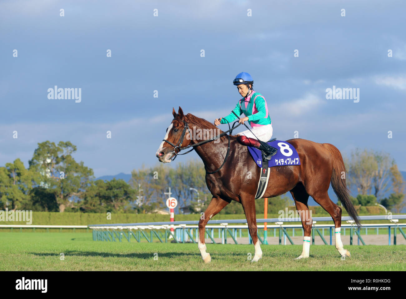 Kyoto, Japan. 4th Nov, 2018. K T Brave (Yuichi Fukunaga) Horse Racing ...