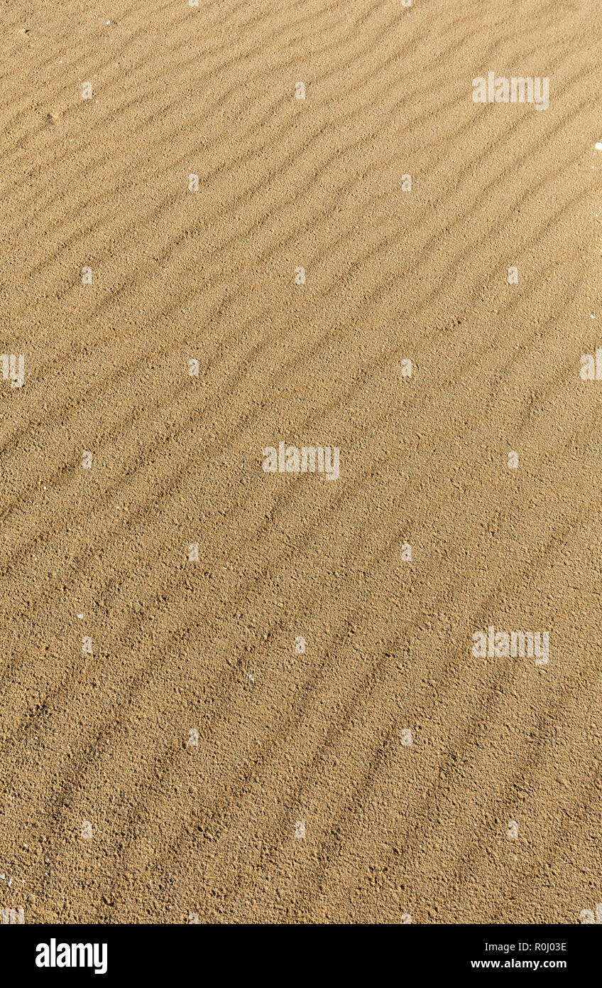 Sand ripple naturally formed by the low tide on the beach Stock Photo ...