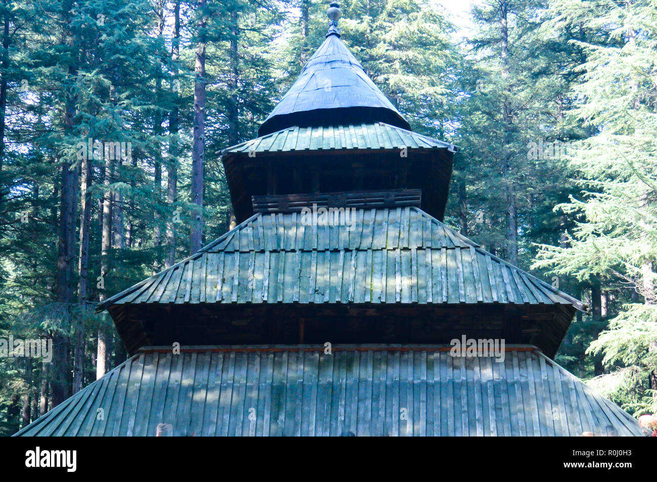The sacred Hidimda Devi Temple in Shimla, Kullu, Himachal Pradesh ...