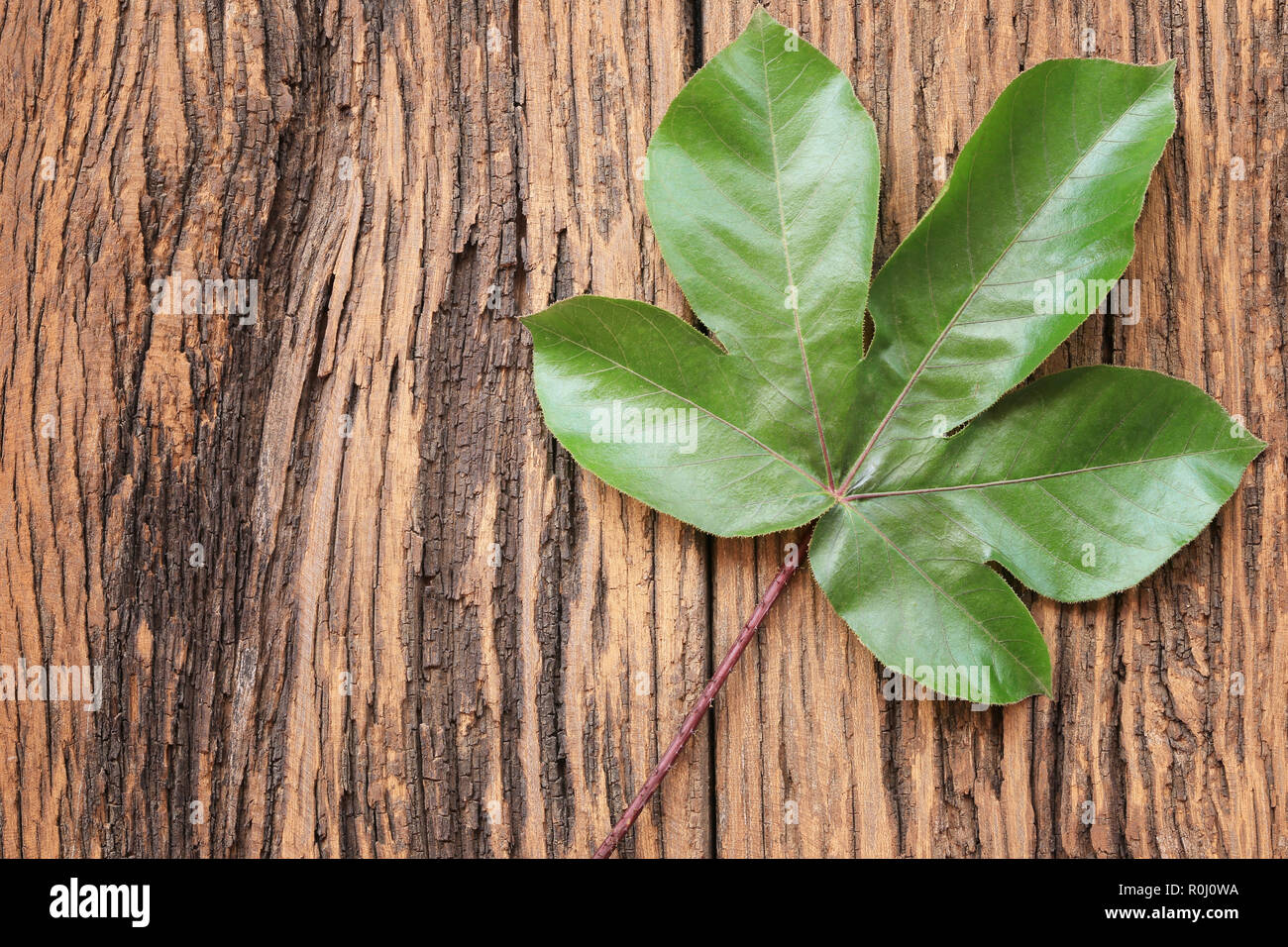 Five-pointed green leaves on brown wooden background for design in your ...