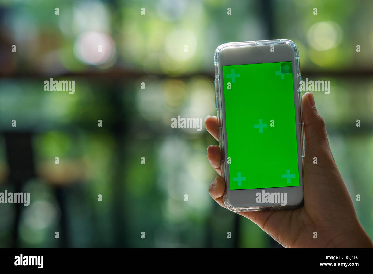 Hand holding phone cut out hi-res stock photography and images - Alamy