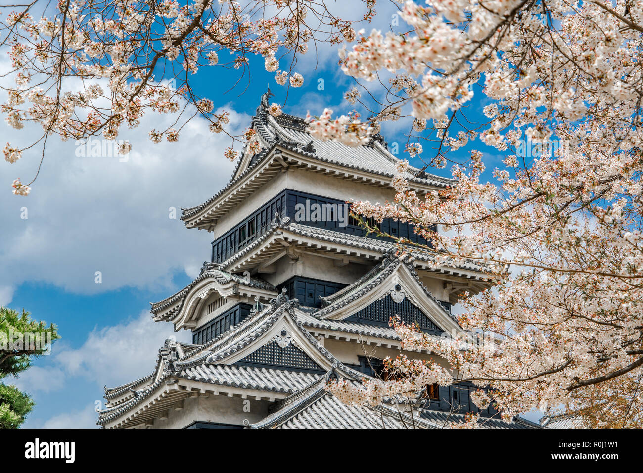 Matsumoto Castle, also known as the "Crow Castle" is Japanese Nataional ...