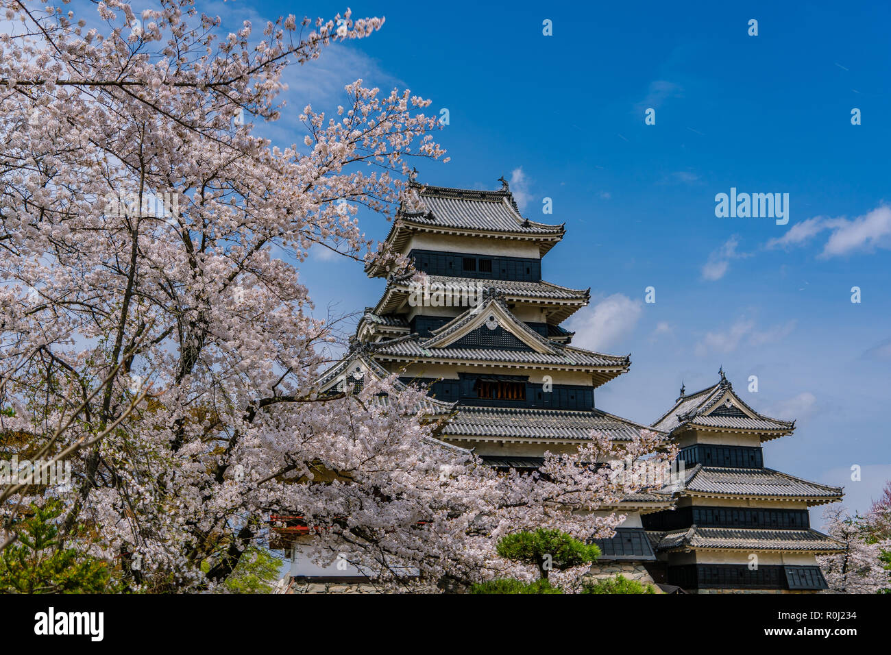 Matsumoto Castle, also known as the "Crow Castle" is Japanese Nataional ...