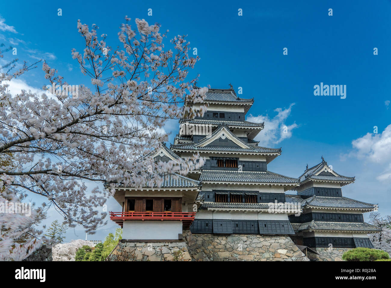 Matsumoto Castle, also known as the "Crow Castle" is Japanese Nataional ...