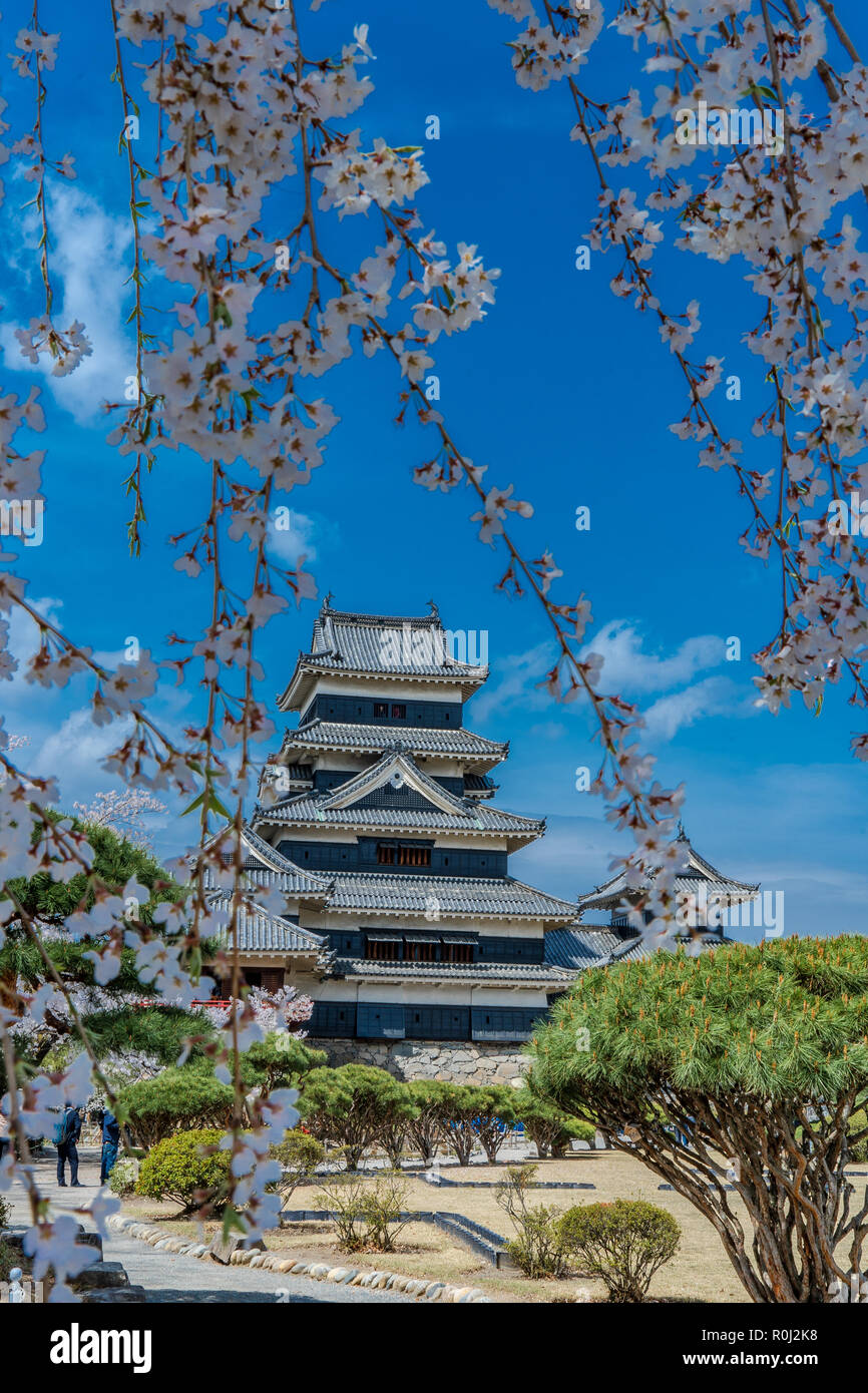 Matsumoto Castle, also known as the "Crow Castle" is Japanese Nataional ...