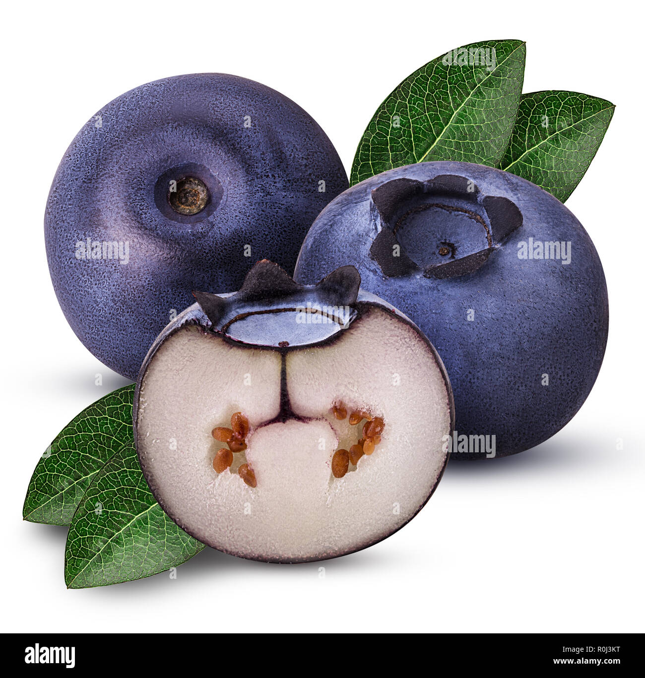 Wild blueberry cut hi-res stock photography and images - Alamy