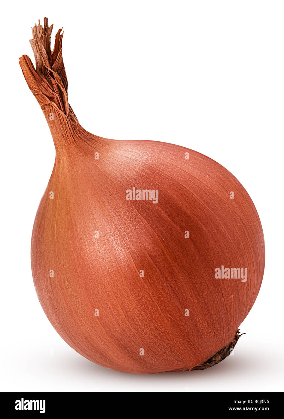 Yellow onion bulb isolated on white background. Clipping Path. Full ...