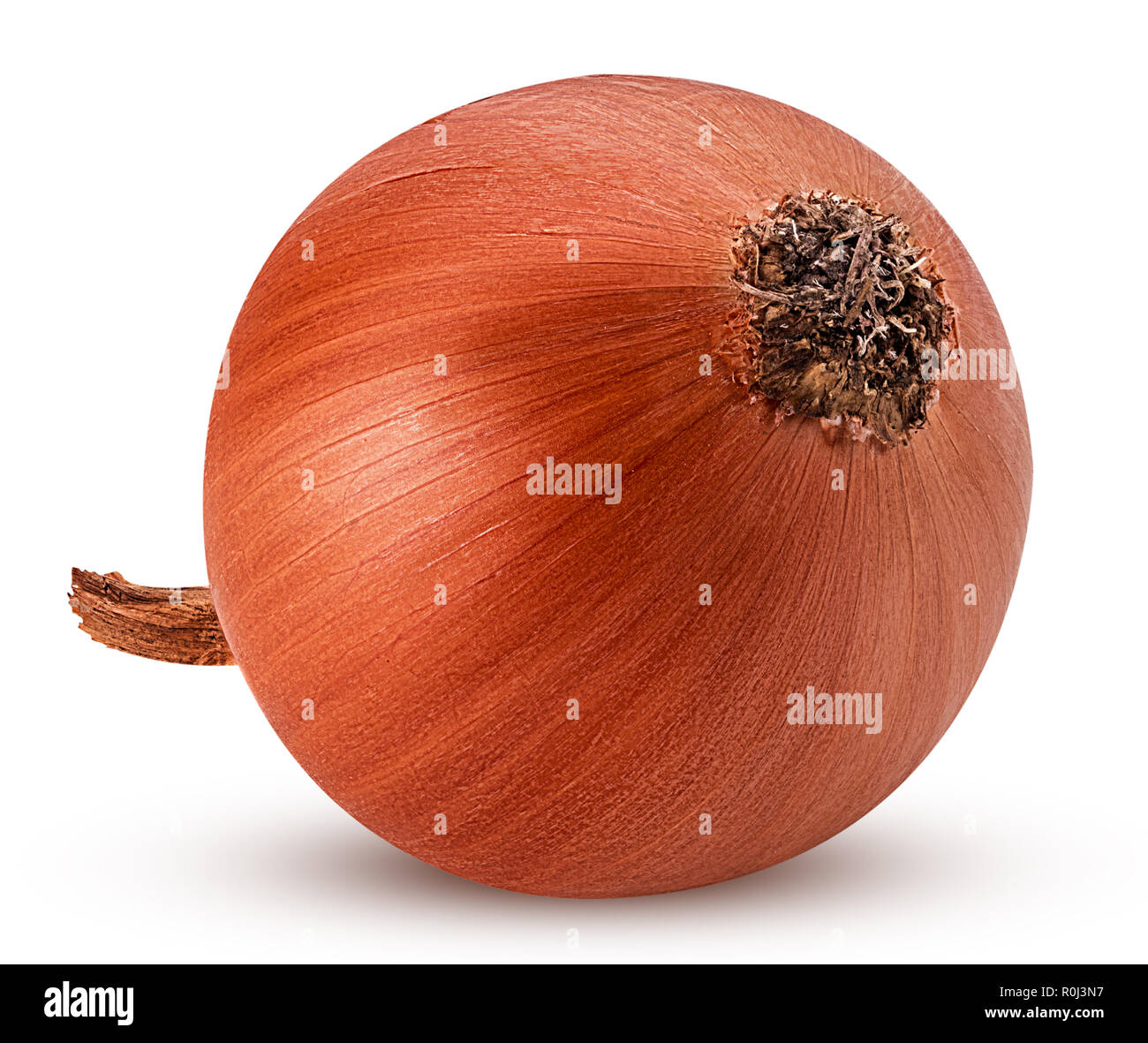 Yellow onion bulb isolated on white background. Clipping Path. Full ...