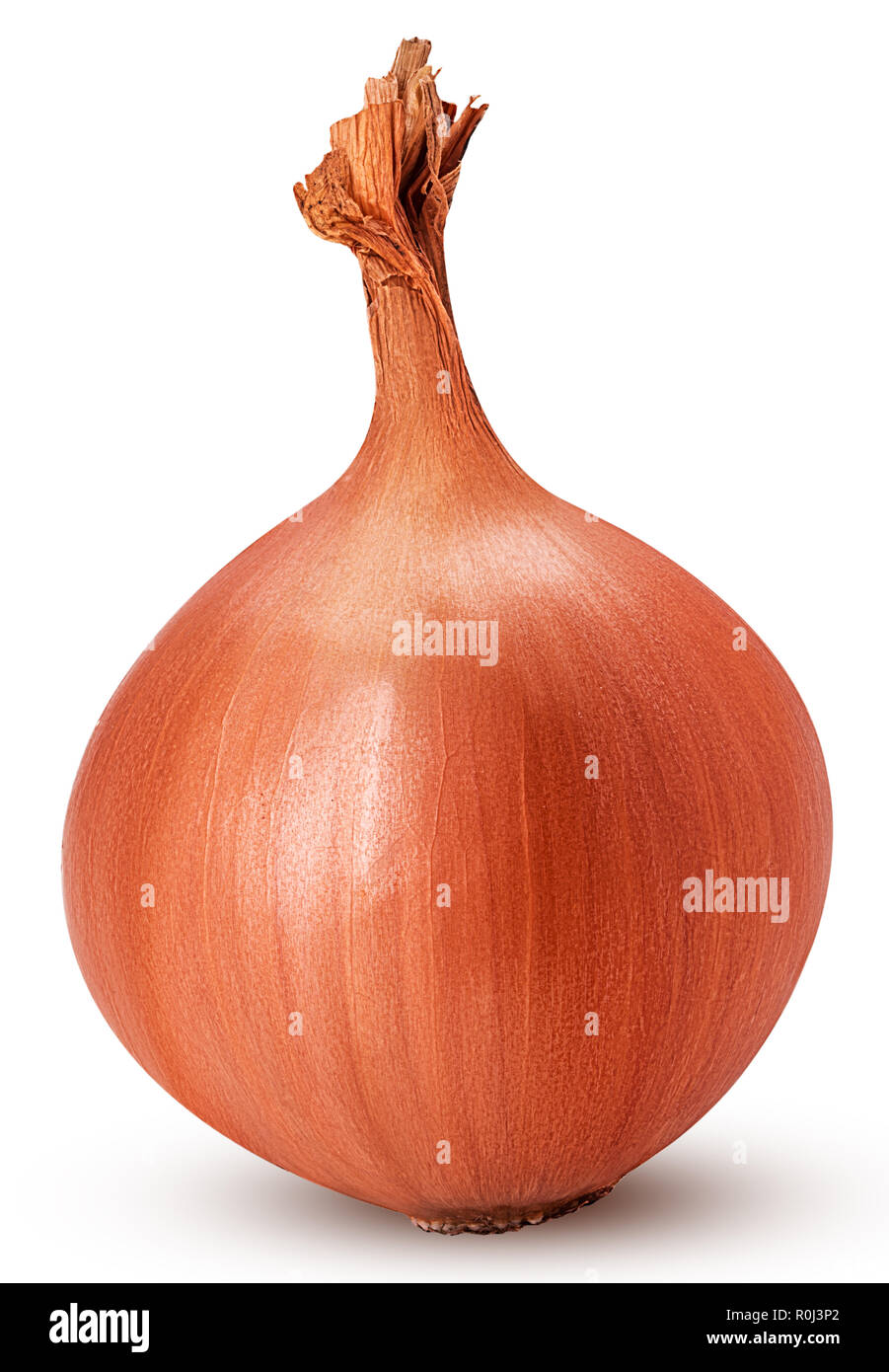 Yellow onion bulb isolated on white background. Clipping Path. Full ...