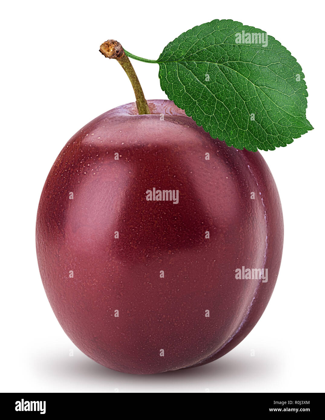 Fresh plum with leaf isolated on white background Clipping Path. Full ...