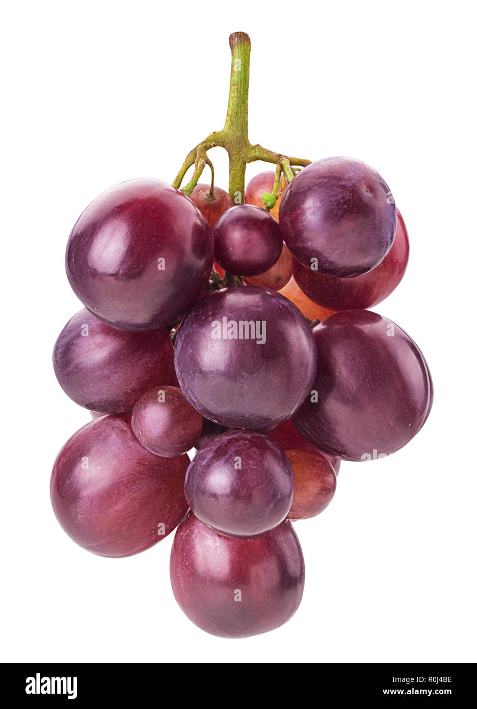 Ripe bunch red grape isolated on white background. Clipping Path. Full ...