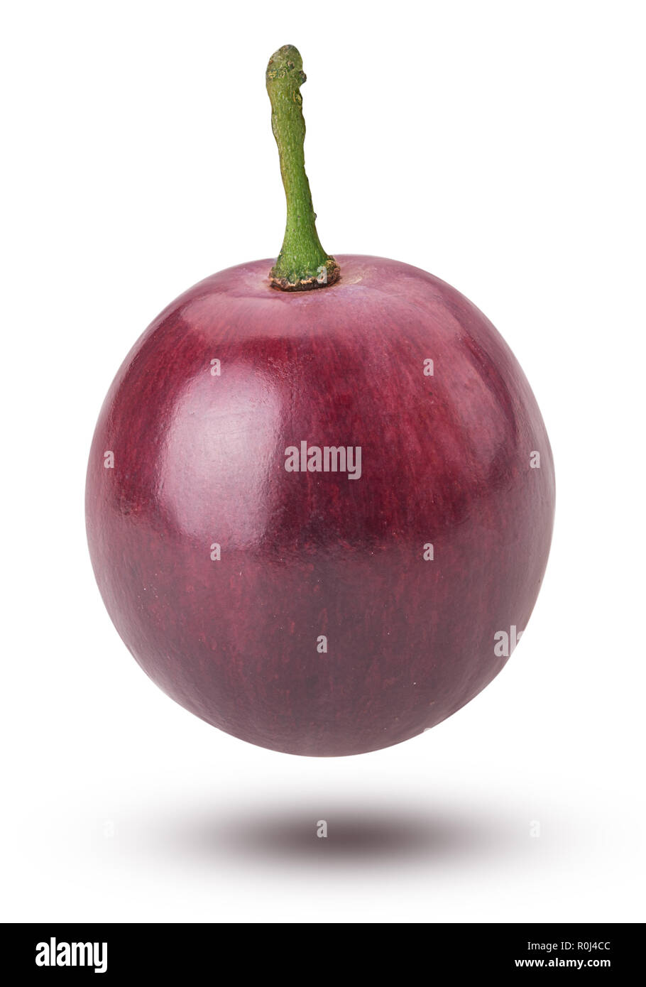 Ripe red grape isolated on white background. Clipping Path. Full depth ...