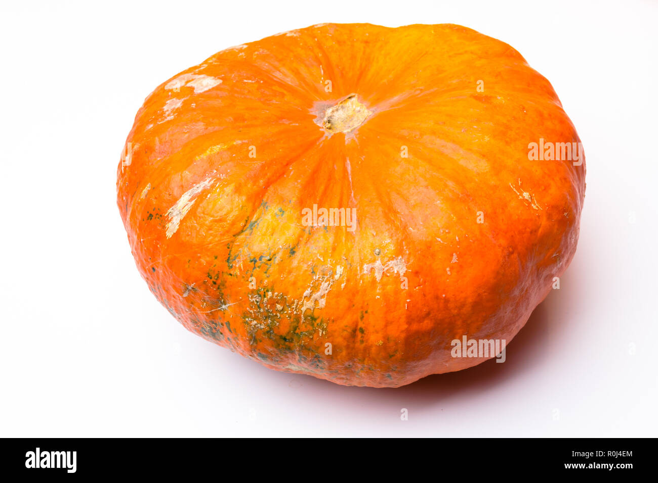 A pumpkin (Patisson pumpkin) lies in front of a white background with ...