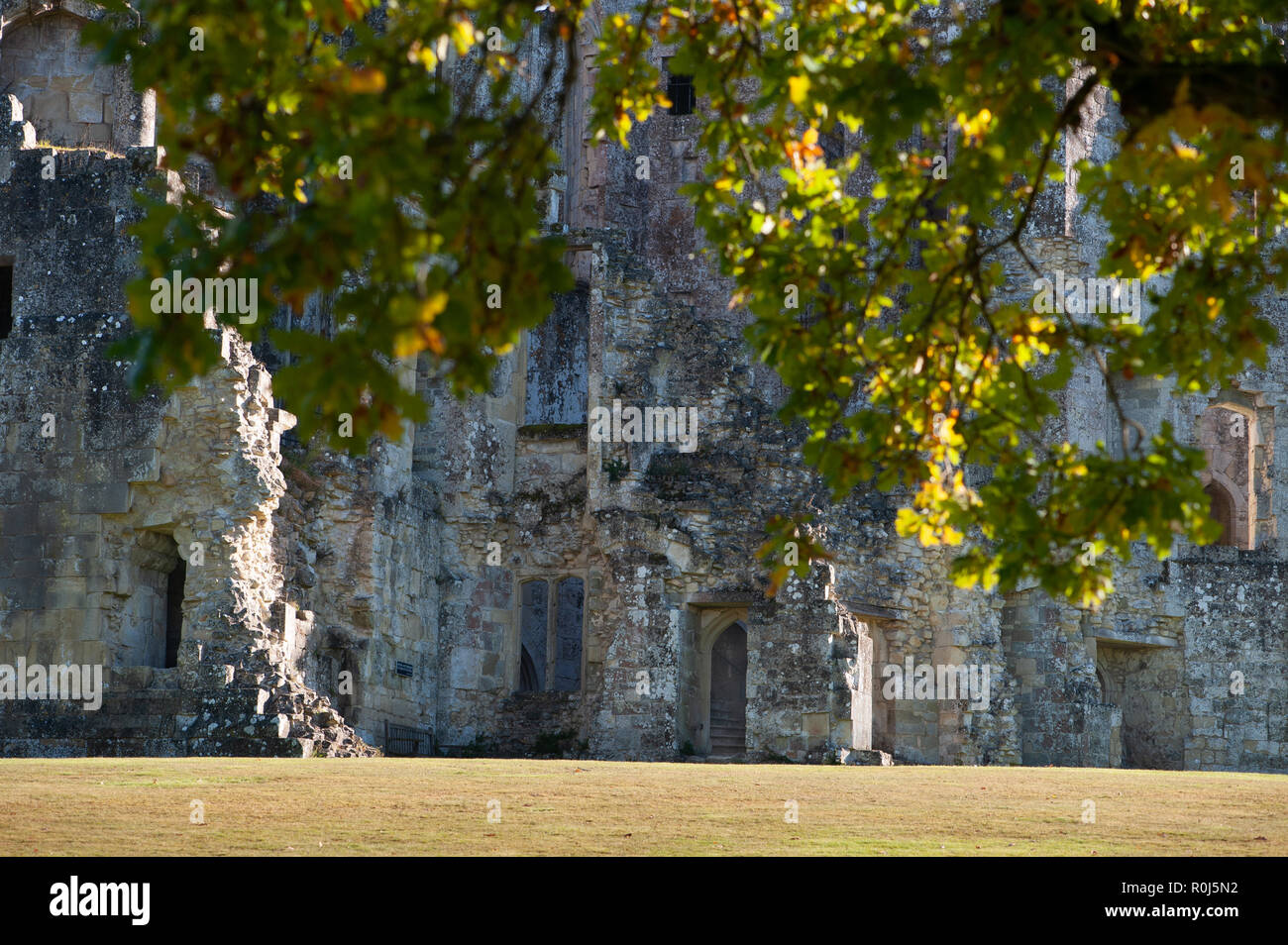View through trees from the west of Old Wardour Castle, near Tisbury ...