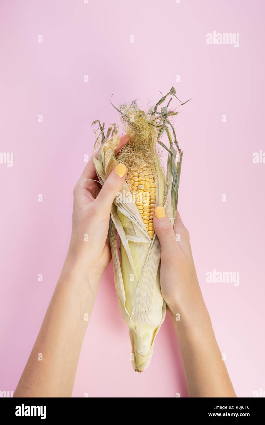 Corn cnob in female hands, pale pink background. Abstract image of ...