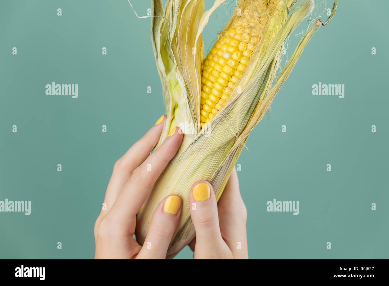 Female hands with a corn cnob, green background Abstract image of woman ...