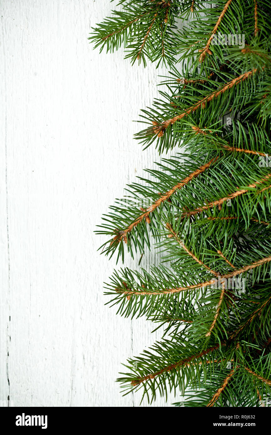 christmas fir tree on white wooden board Stock Photo - Alamy