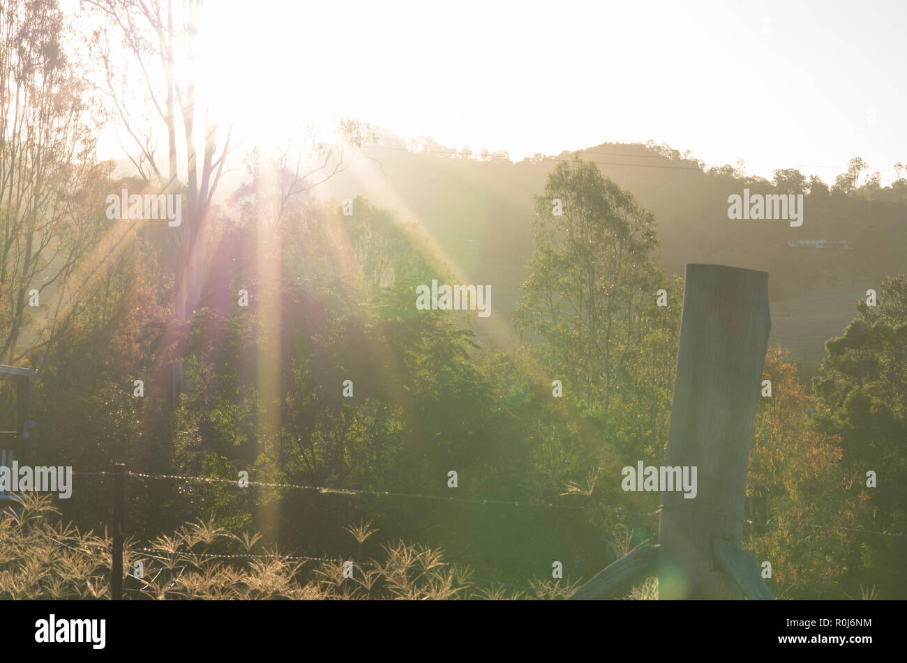 Australian bushland and rural backyard in south east queensland at ...