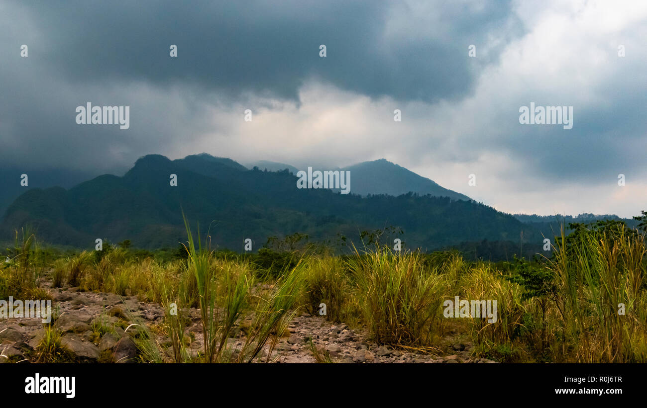 Exposure compassionate hi-res stock photography and images - Alamy