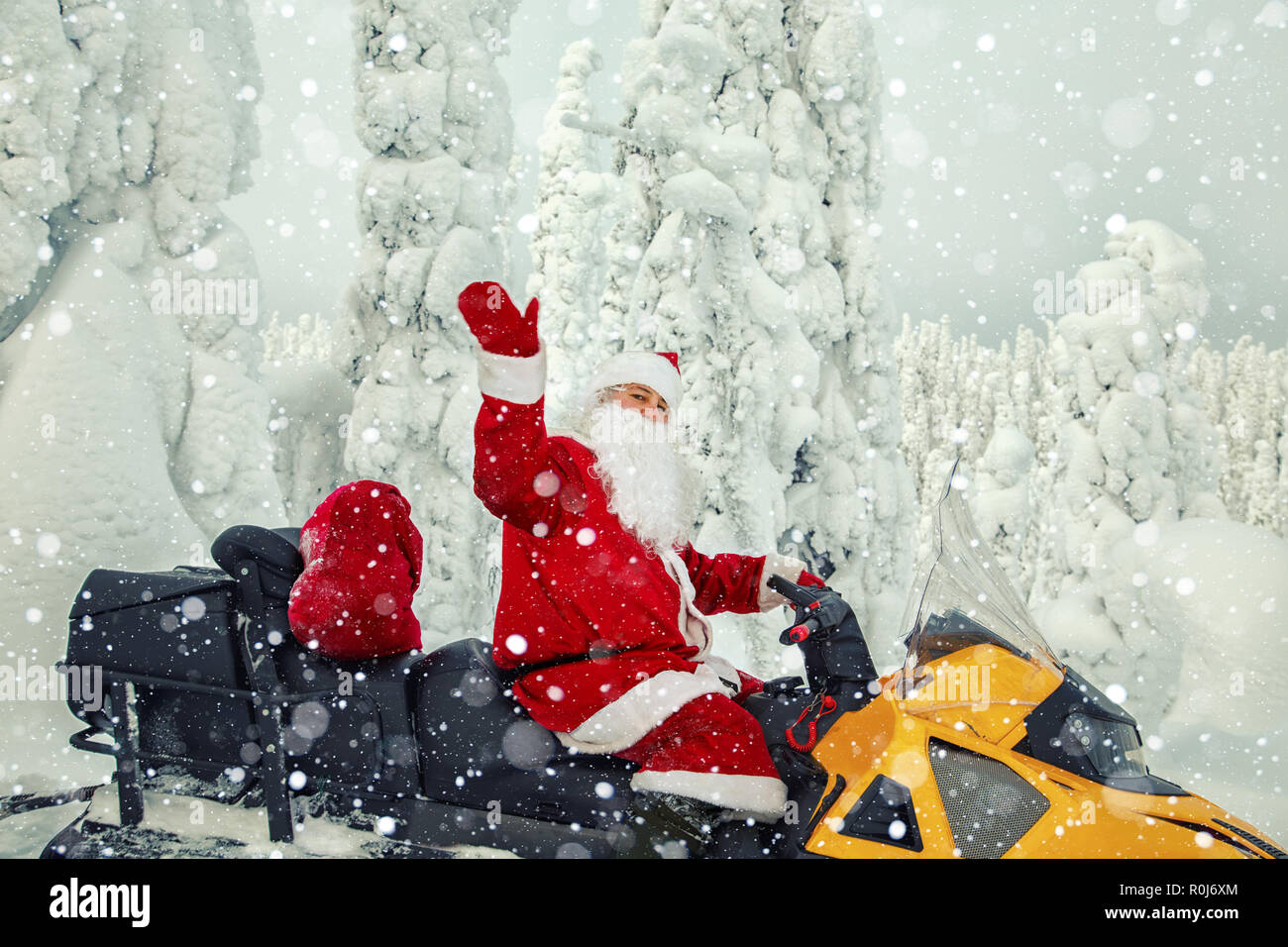 Authentic Santa Claus is riding a snowmobile through the winter forest ...
