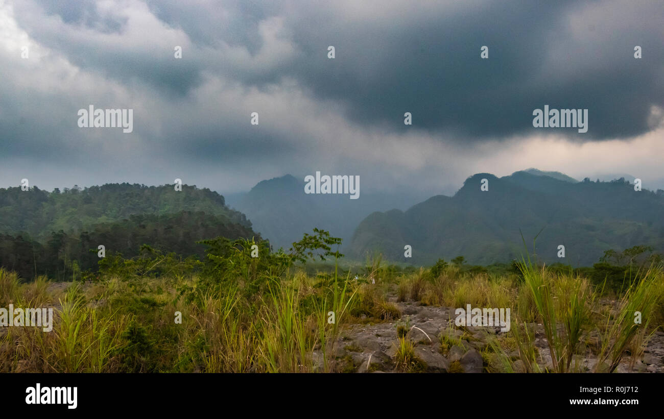 Exposure compassionate hi-res stock photography and images - Alamy