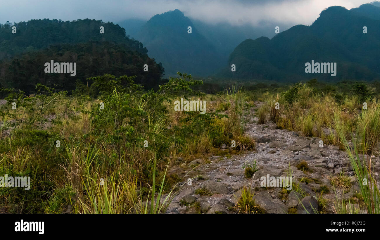 Exposure compassionate hi-res stock photography and images - Alamy