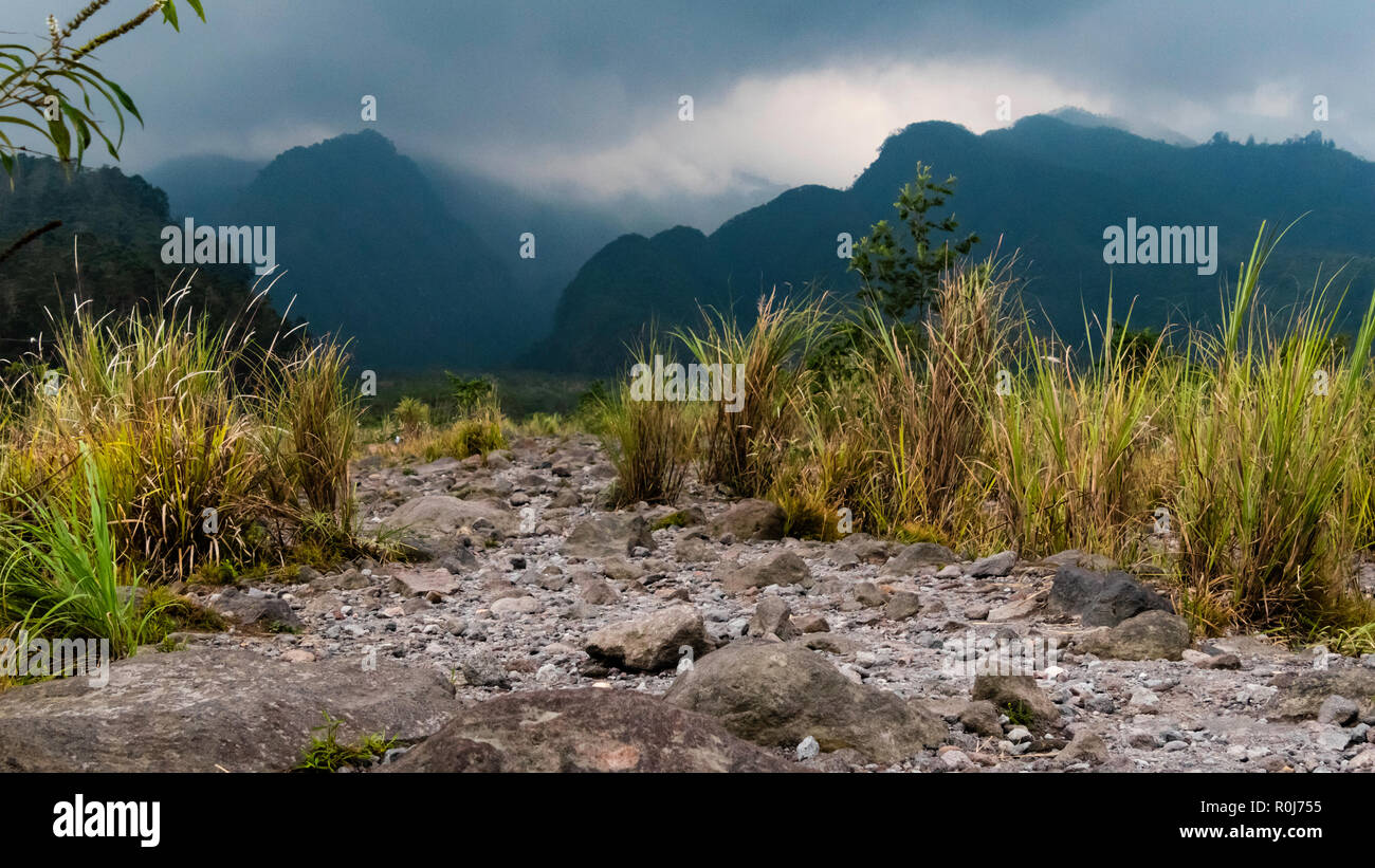 Exposure compassionate hi-res stock photography and images - Alamy