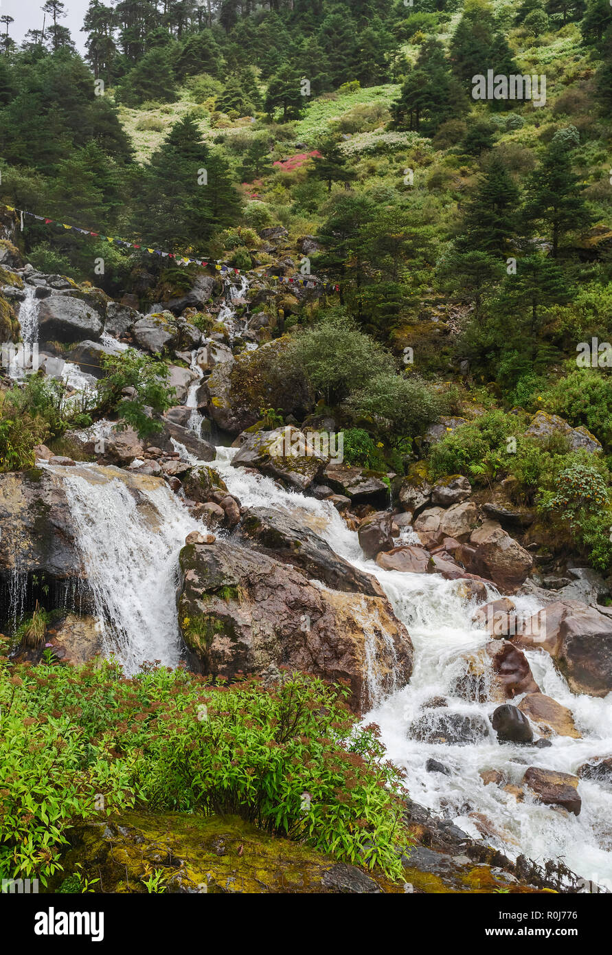 A natural waterfall gushing down the slopes of the Himalayas lined with ...