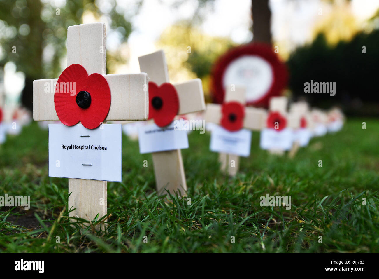 The St Paul's Cathedral remembrance field, which was opened today to ...