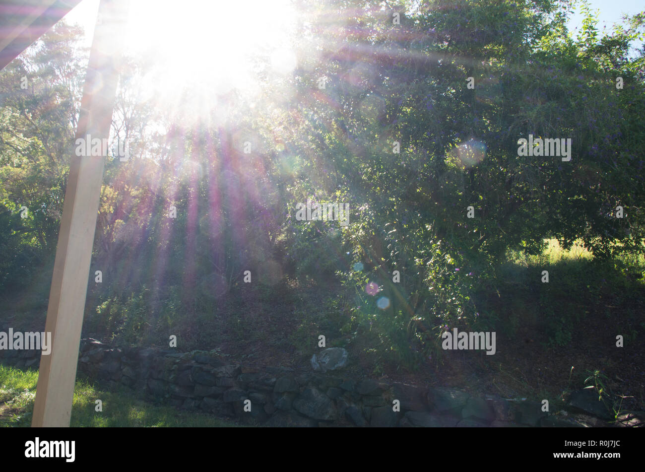 Australian bush scene sun hi-res stock photography and images - Alamy