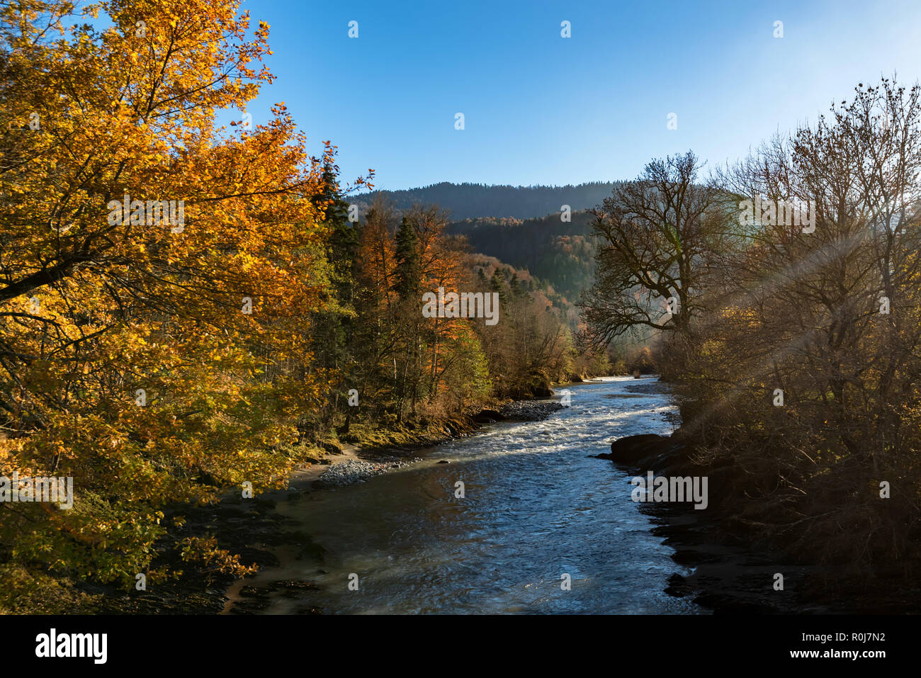 Fall landscape with mountain river and forest Stock Photo - Alamy