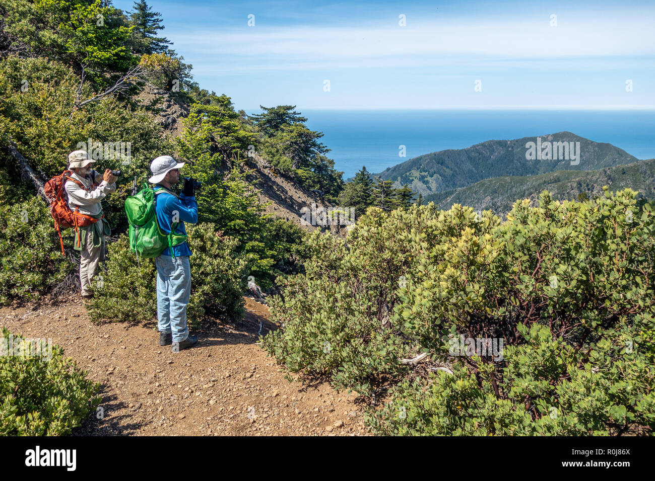 Hiking the Lost Coast, King Mountain Range, Northern California Stock ...