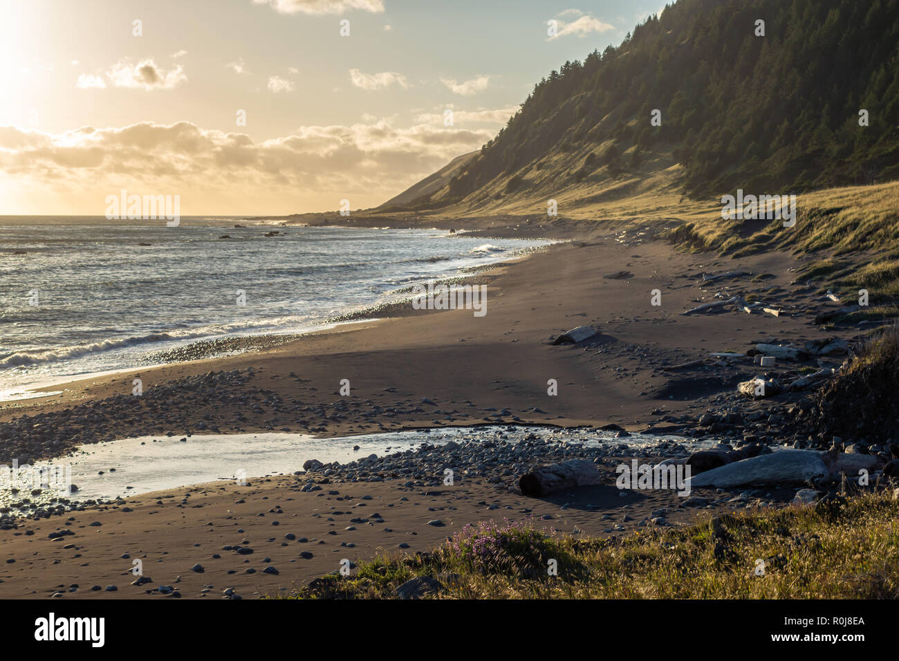 Hiking the Lost Coast, King Mountain Range, Northern California Stock ...
