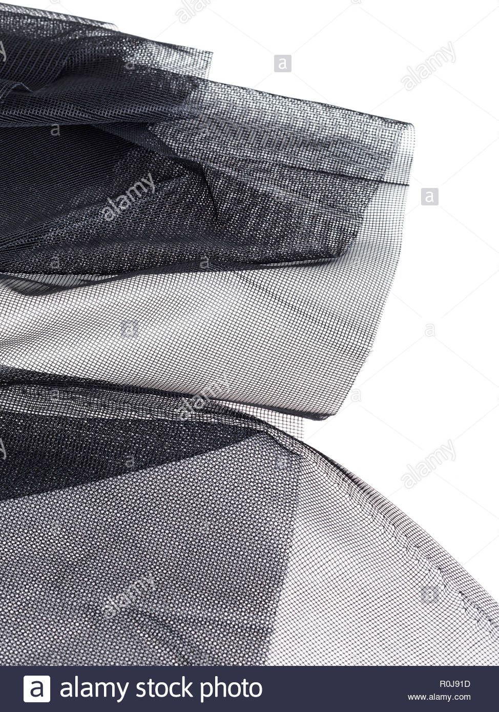 Bug Insect High Resolution Stock Photography and Images - Alamy