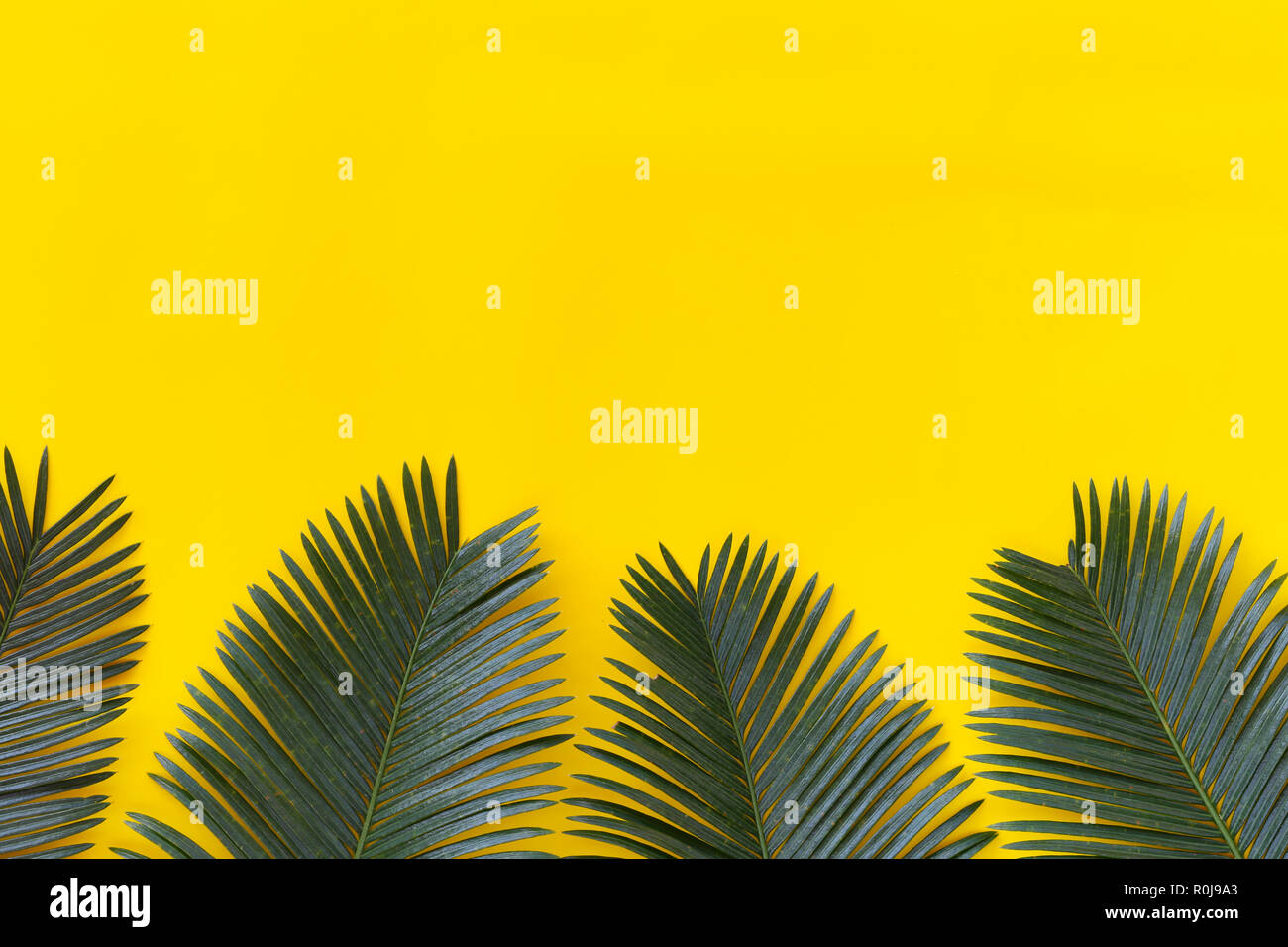 Split palm leaves hi-res stock photography and images - Alamy