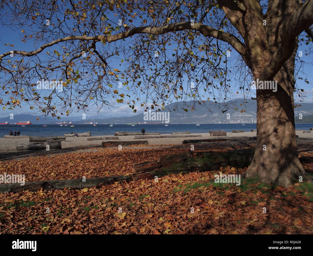 Kits beach hi-res stock photography and images - Alamy