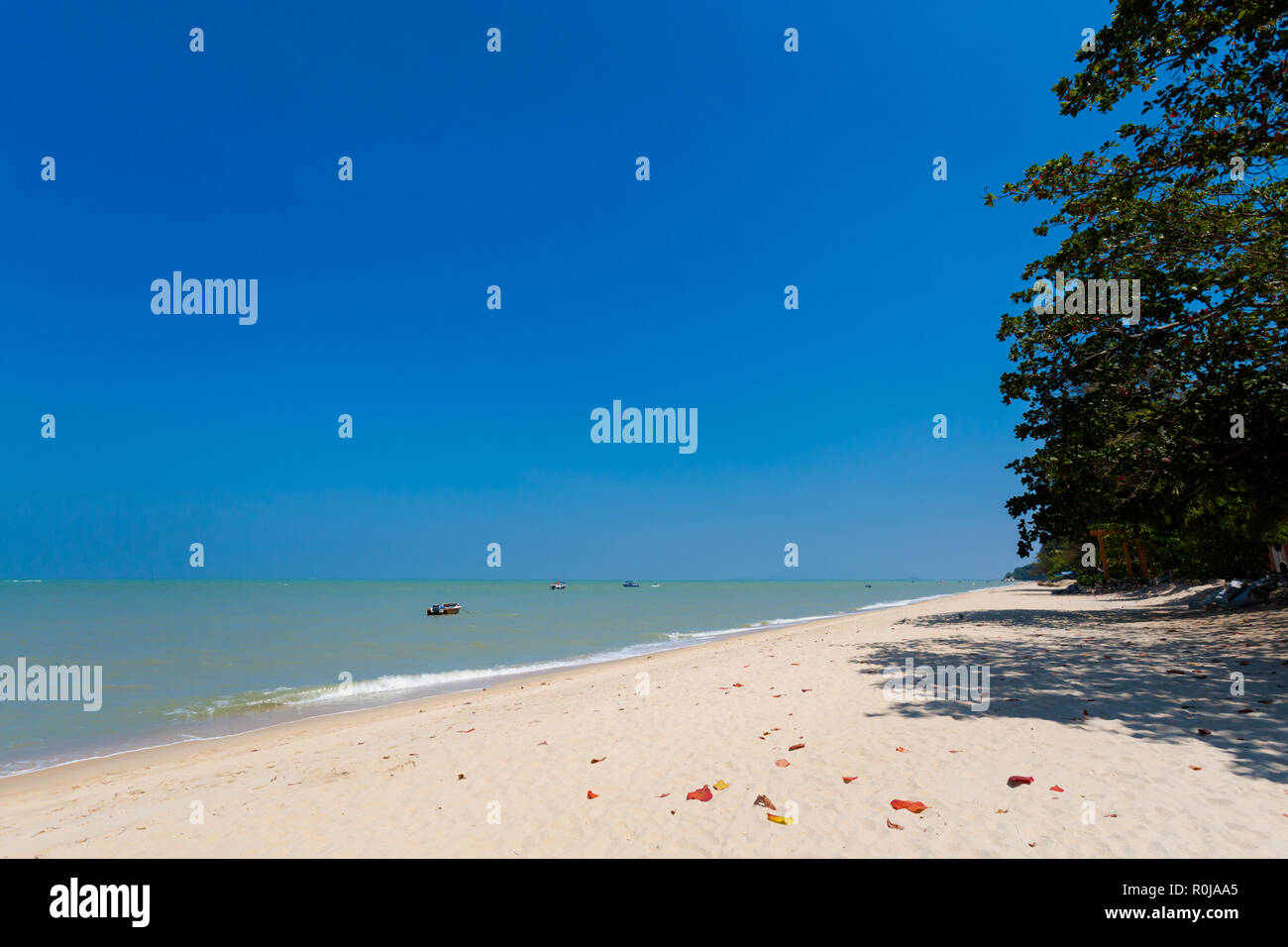 Landscape on Batu Ferringhi beach on Penang island in Malaysia ...