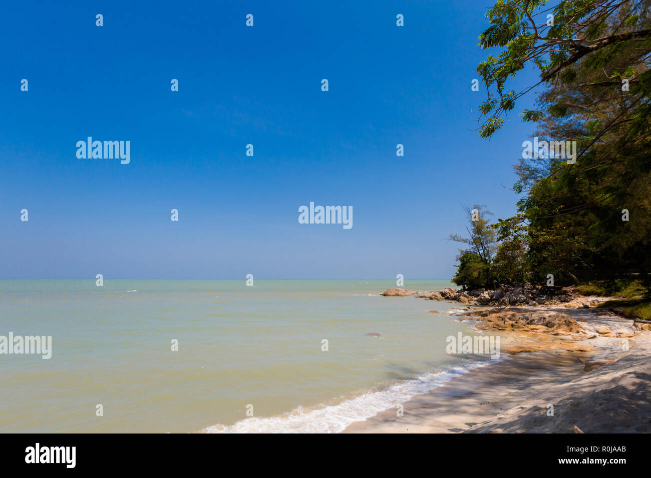 Palm tree beach in penang hi-res stock photography and images - Alamy