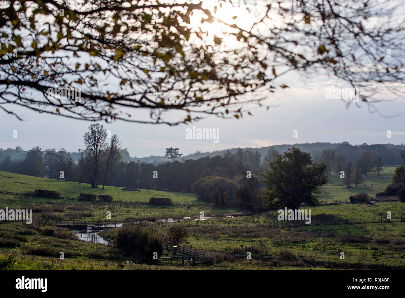 Northington hi-res stock photography and images - Alamy