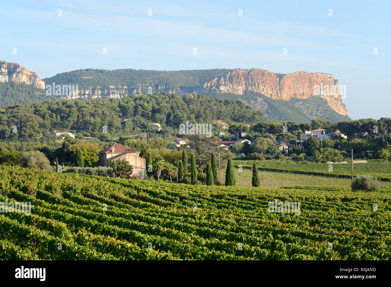 Cassis vineyard hi-res stock photography and images - Alamy
