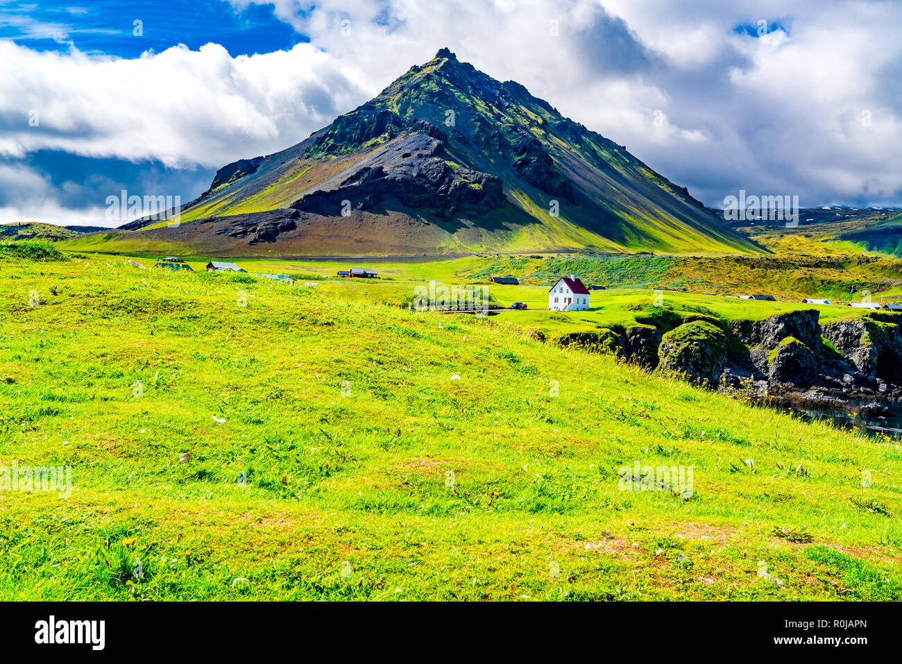 View of the field of flowers, the houses of Arnarstapi Village and the ...