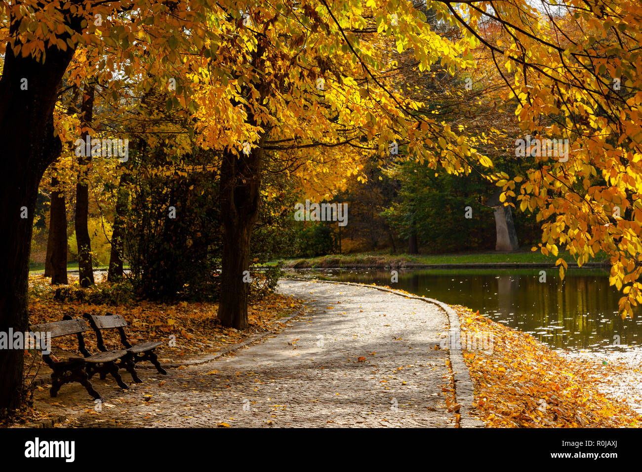 yellow leaves autumn Ukraine Uman Sophia Park Stock Photo - Alamy