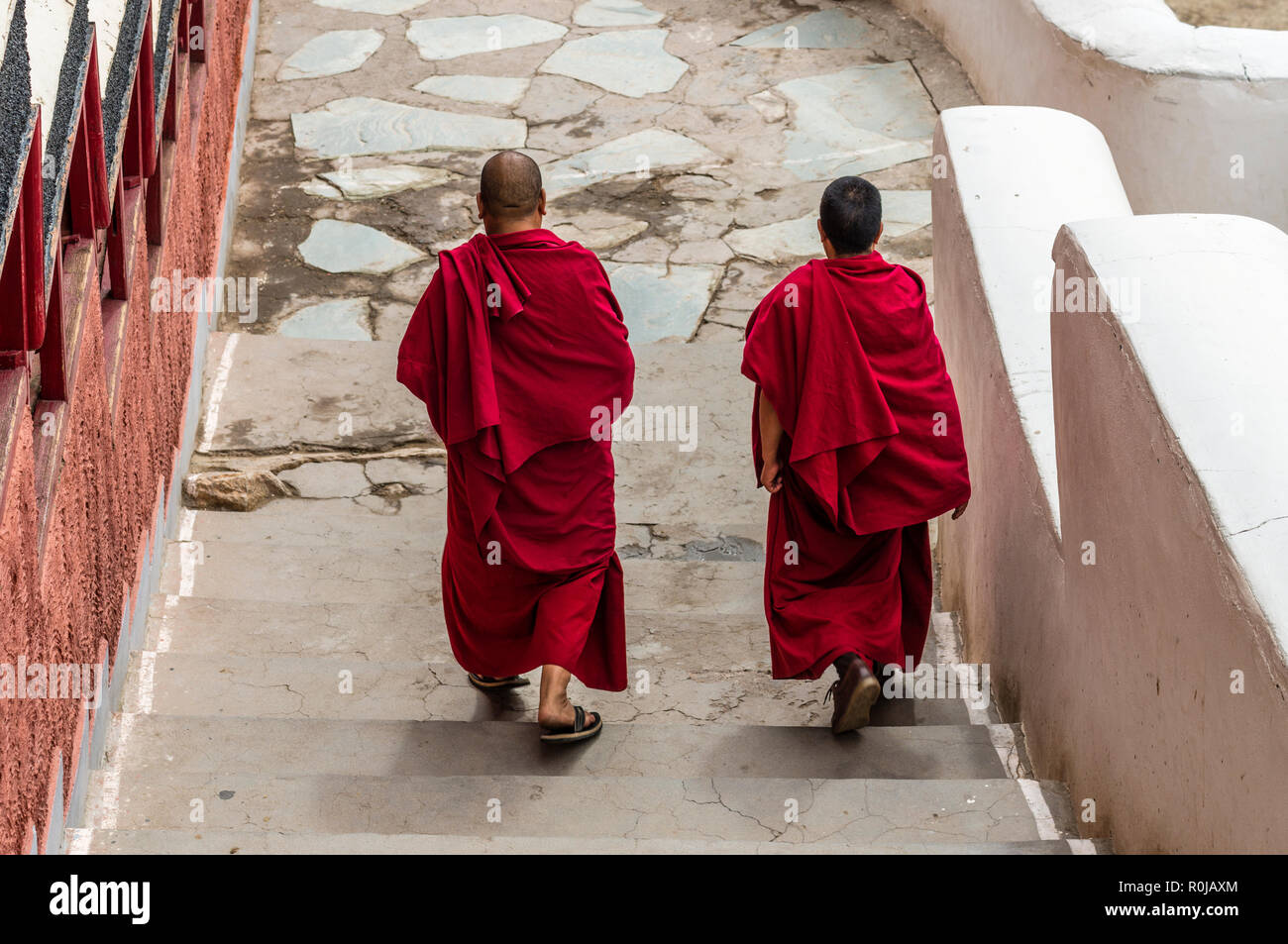 Two red dressed monks walking down a stairway in Thiksey Gompa, one of ...