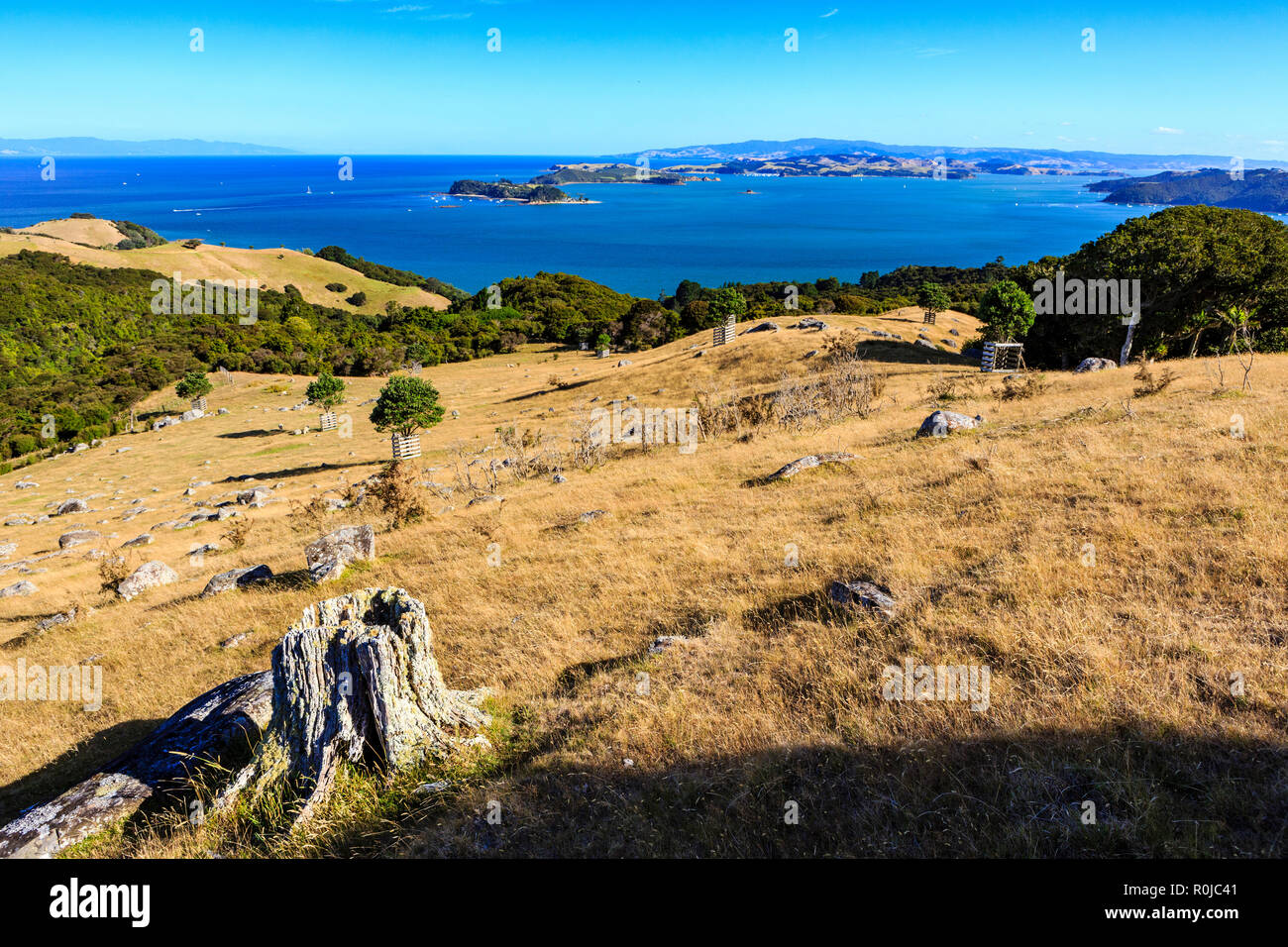 Hauraki island new zealand hi-res stock photography and images - Alamy