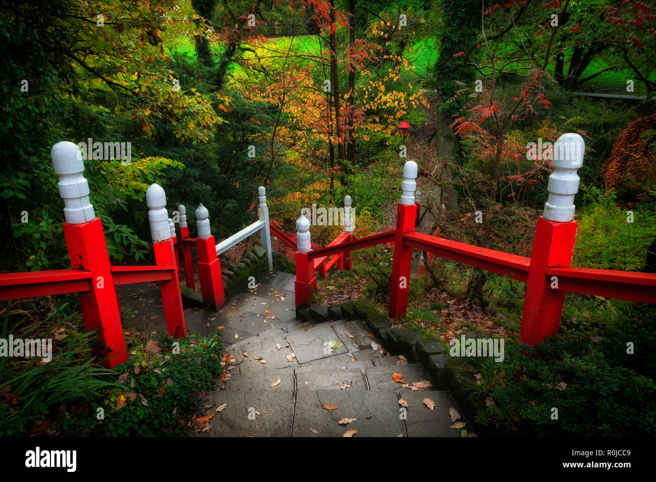 Clyne gardens in Swansea Stock Photo - Alamy