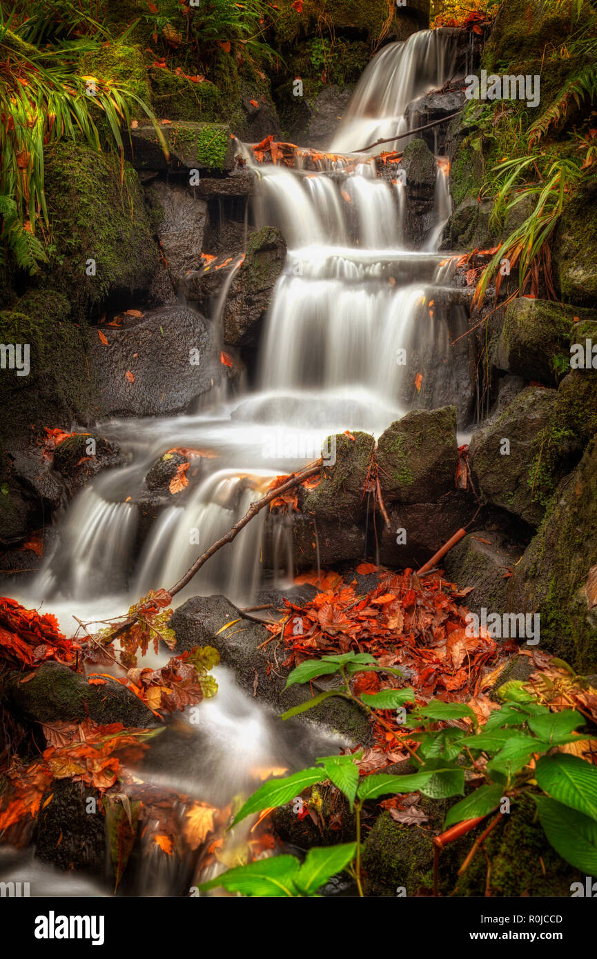 Clyne Gardens waterfall cascade Stock Photo - Alamy