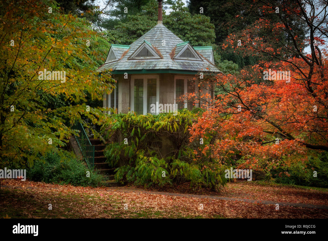 Clyne gardens swansea hi-res stock photography and images - Alamy