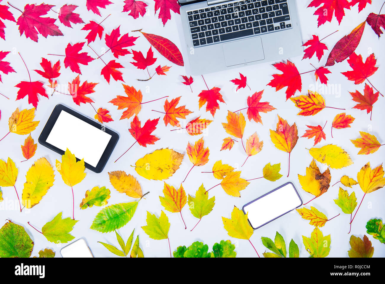 Autumn mockup for seasonal sales. Laptop keyboard, tablet and smart ...