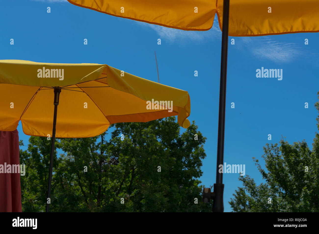 Bright yellow parasols hi-res stock photography and images - Alamy