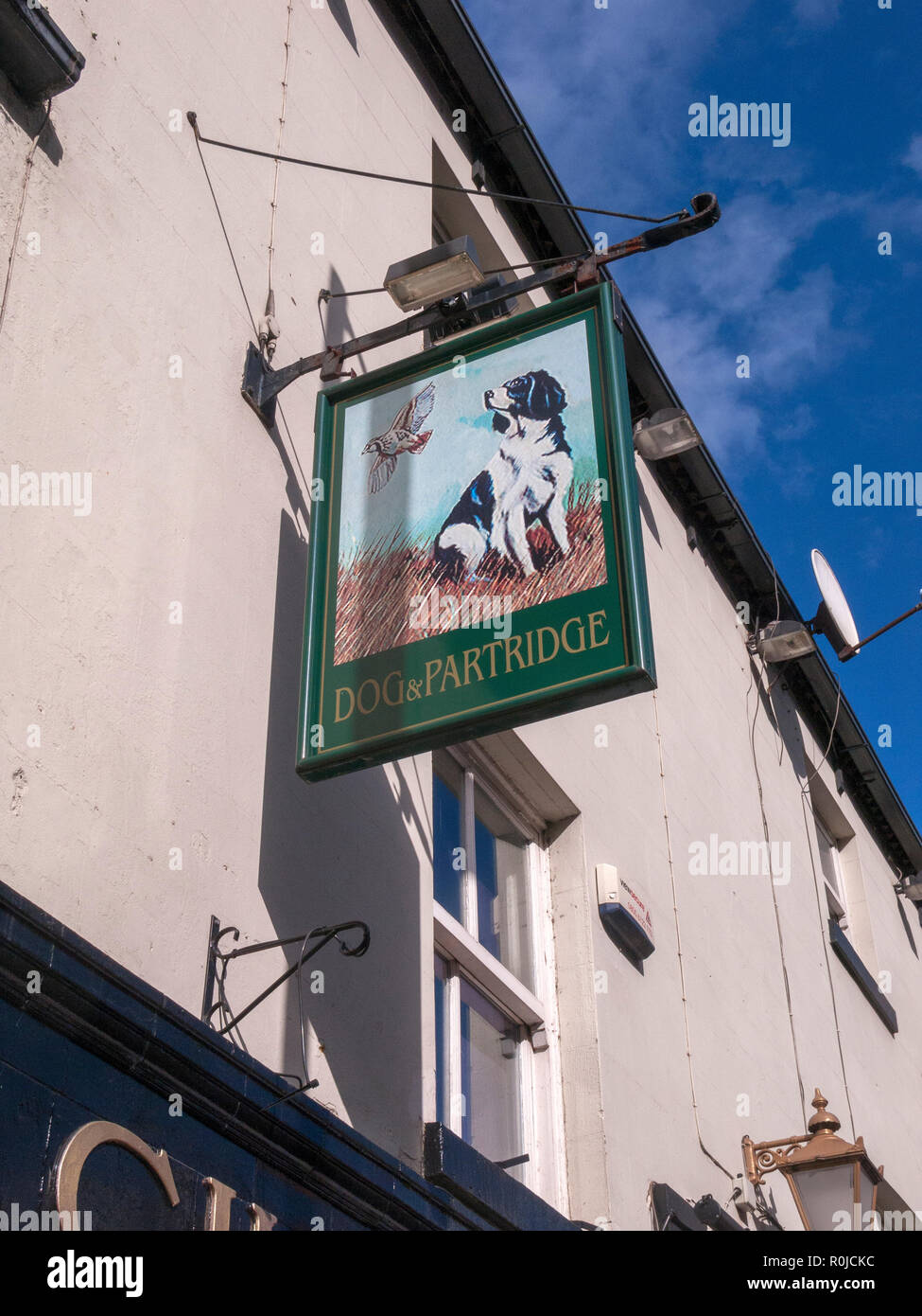 Blue partridge hi-res stock photography and images - Alamy